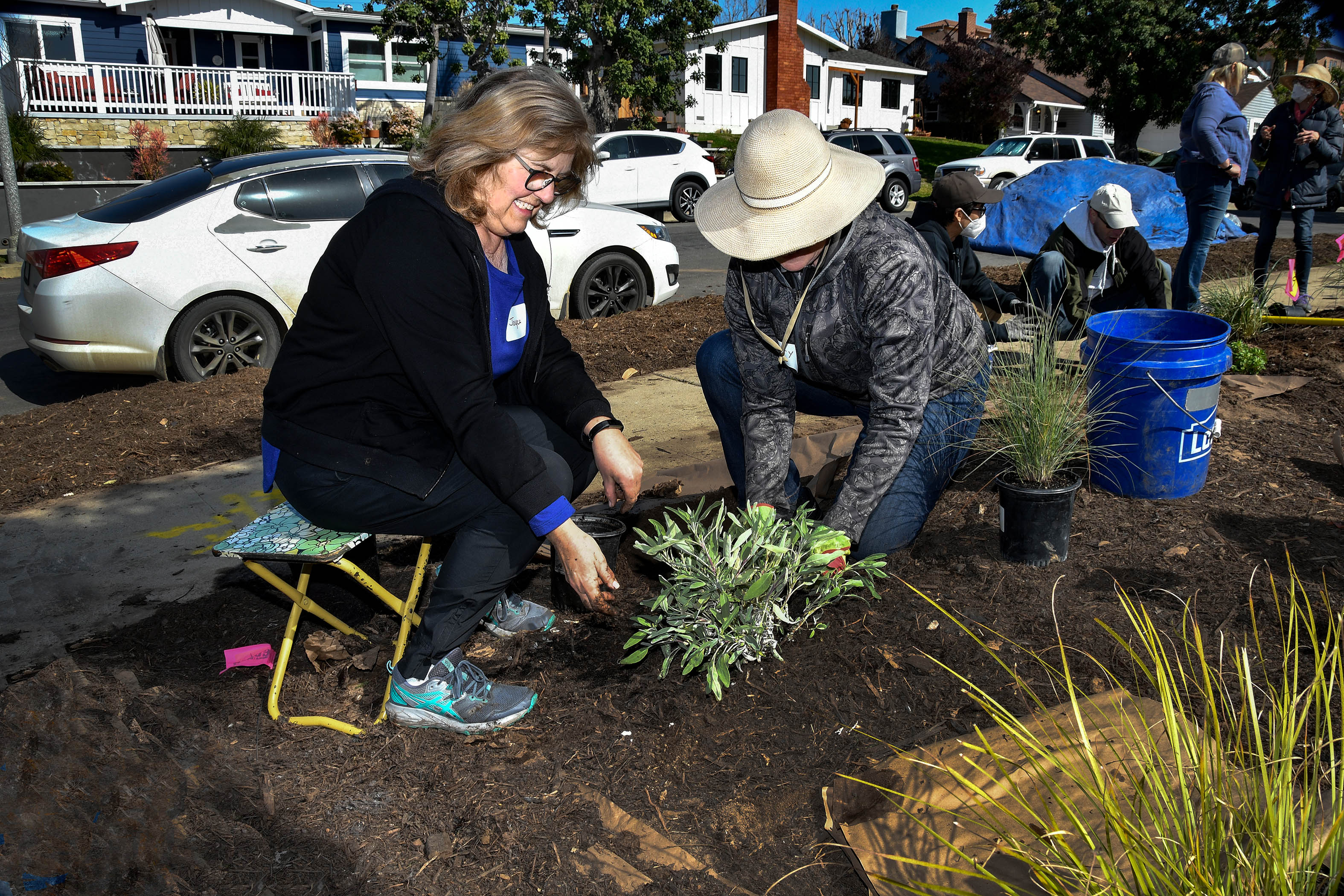 CA Friendly Native Plant Landscape Webinar | Los Angeles Department of ...