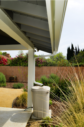 Keeping Rain in the Garden | Los Angeles Department of Water and Power
