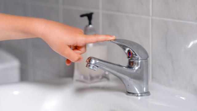 My Water Insights Program | Los Angeles Department of Water and Power